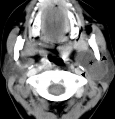 Internet Scientific Publications